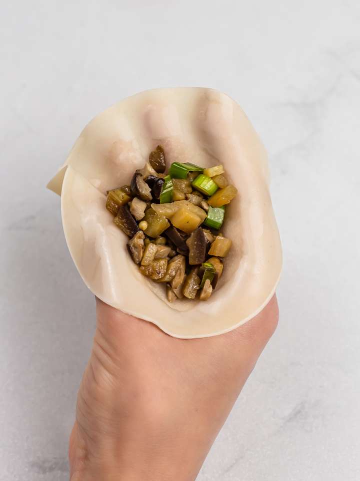 Vegan Siomai/Shumai with Eggplants | Foodaciously