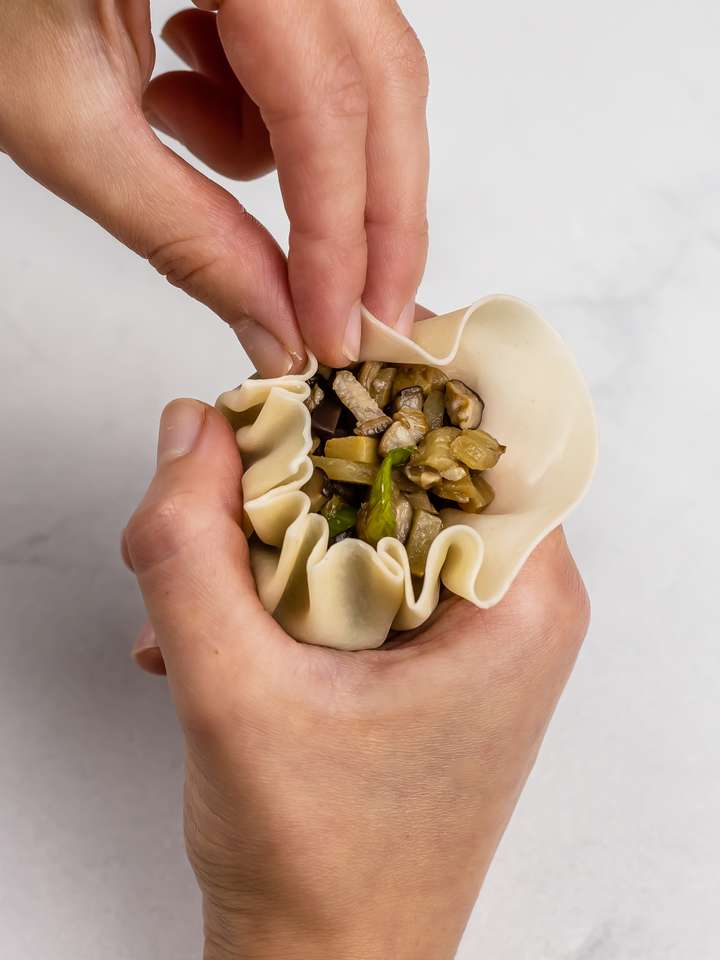 Vegan Siomai/Shumai with Eggplants | Foodaciously