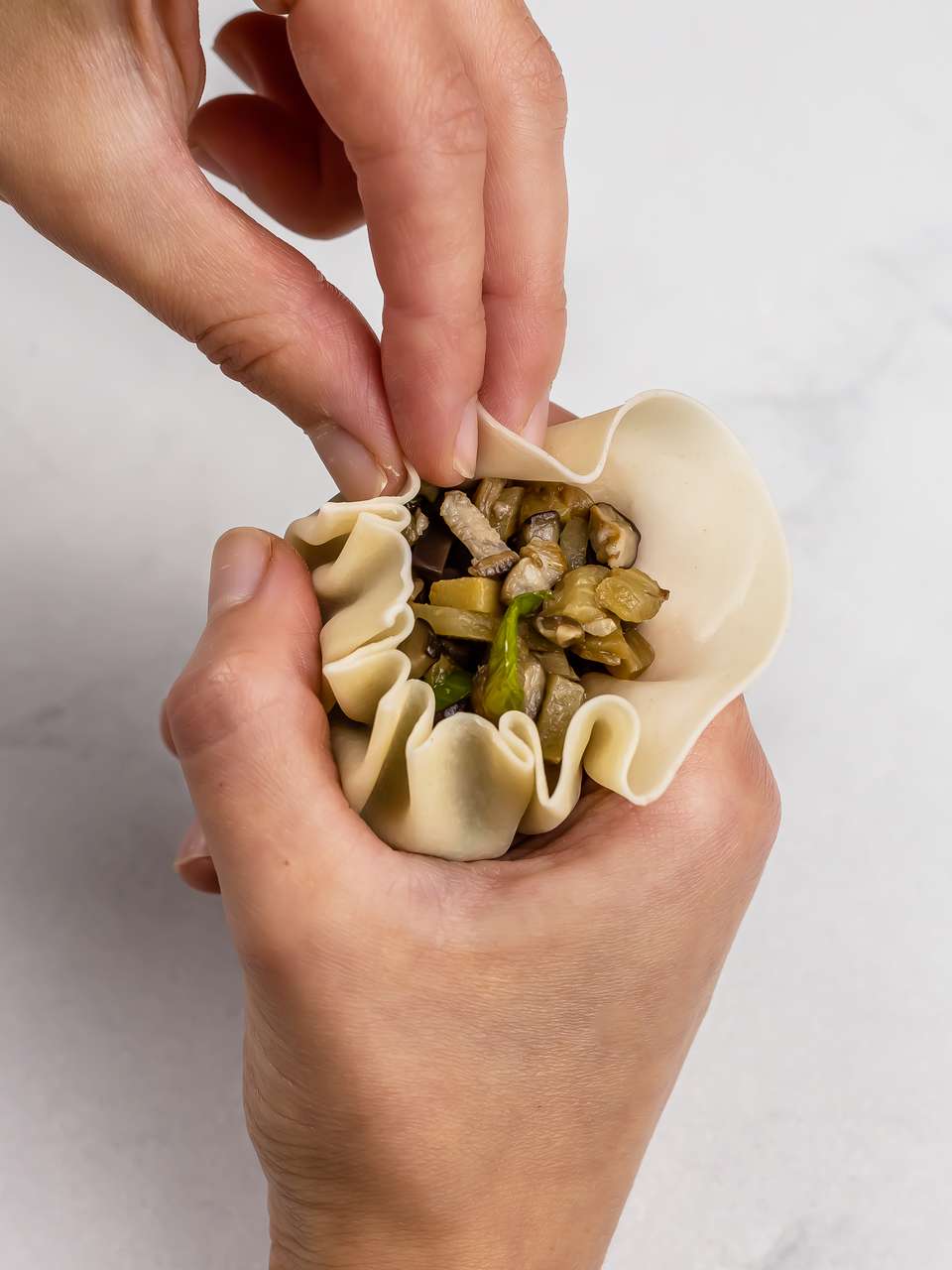 Vegan Siomai/Shumai with Eggplants | Foodaciously