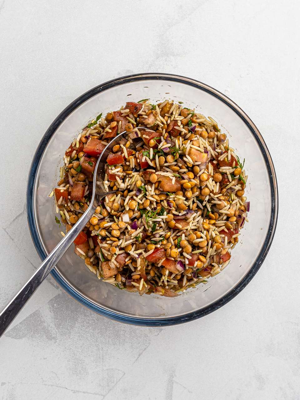 Vegan Malfouf Mahshi (Lebanese Cabbage Rolls) | Foodaciously